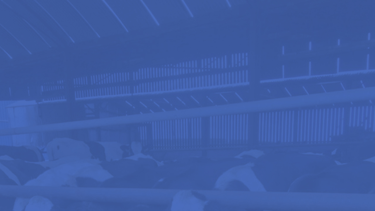 icecream-bkg - Glastry Farm